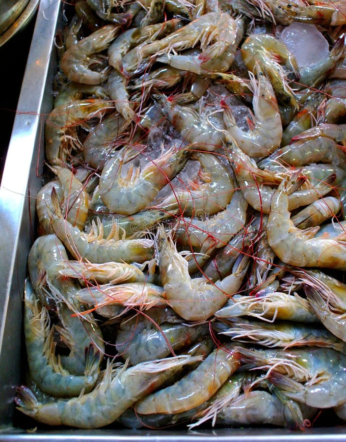 Fresh shrimp in tray stock image. Image of fresh, seafood - 121068963