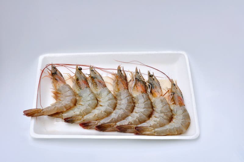 Fresh Shrimps on Foam Package Stock Photo - Image of market, gourmet ...