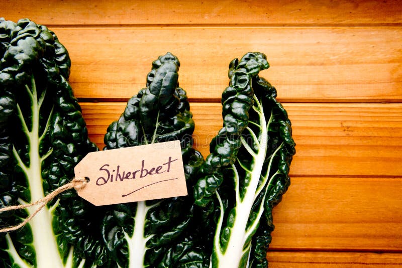 Spinach - Silverbeet in Vegetable Garden Stock Image - Image of stalks ...