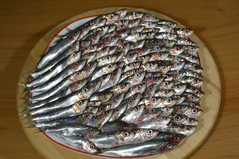 Fresh Silver Colored Sardines in Rows on Round Wooden Plate. Stock ...