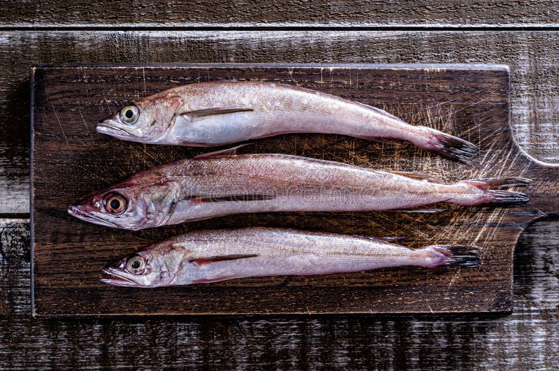 Fresh Silver Hake stock image. Image of fresh, rustic - 235294223