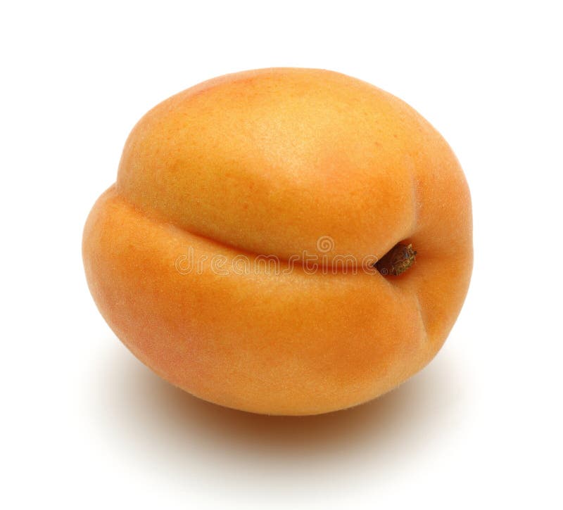 Fresh Single Apricot Isolated on White Stock Photo - Image of meal ...