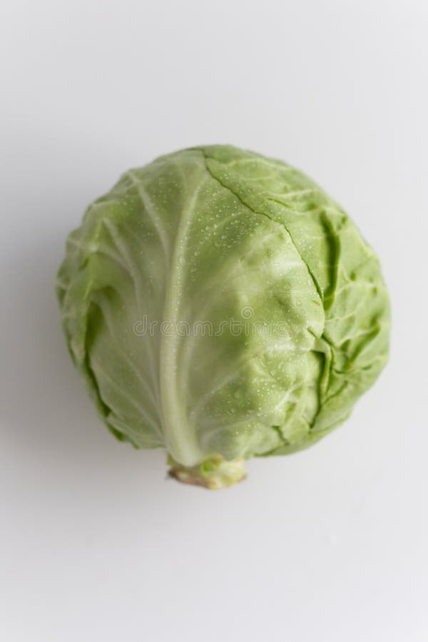 A Fresh, Single Brussels Sprout Isolated on a White Surface Stock Photo ...