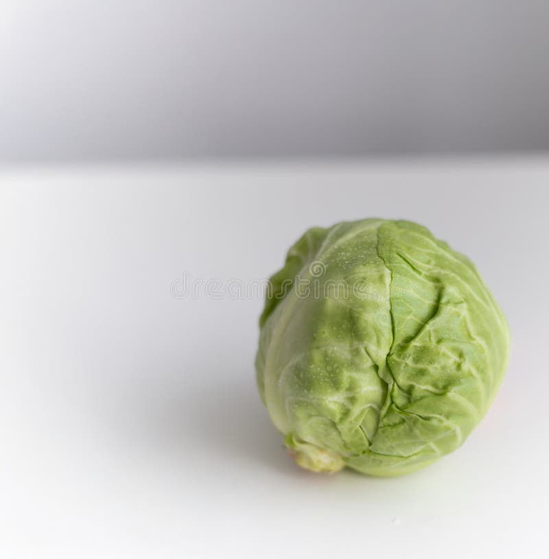 A Fresh, Single Brussels Sprout Isolated on a White Surface Stock Photo ...