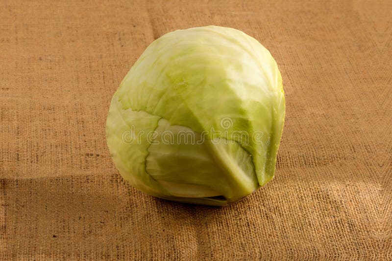 Single Cabbage or Headed Cabbage Leafy Green Annual Vegetable Crop ...