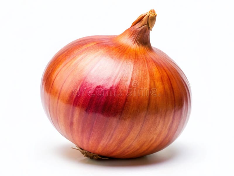 Fresh Single Onion on White Background a CloseUp View of a Healthy and ...