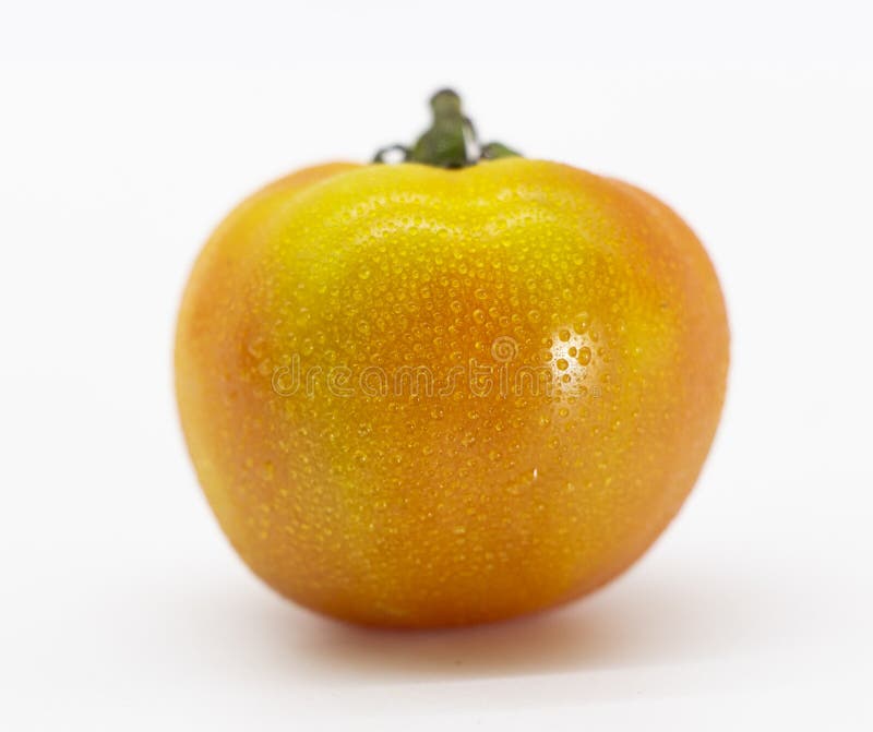 Fresh Single Tomato on White Background Stock Image - Image of healthy ...