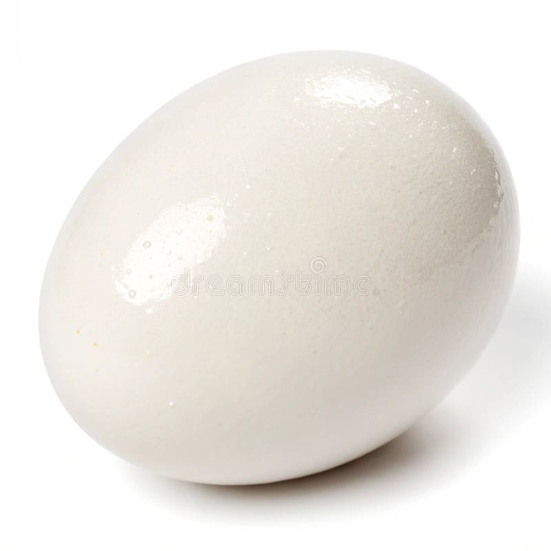White Egg Transparent Background Stock Illustrations – 3,762 White Egg ...