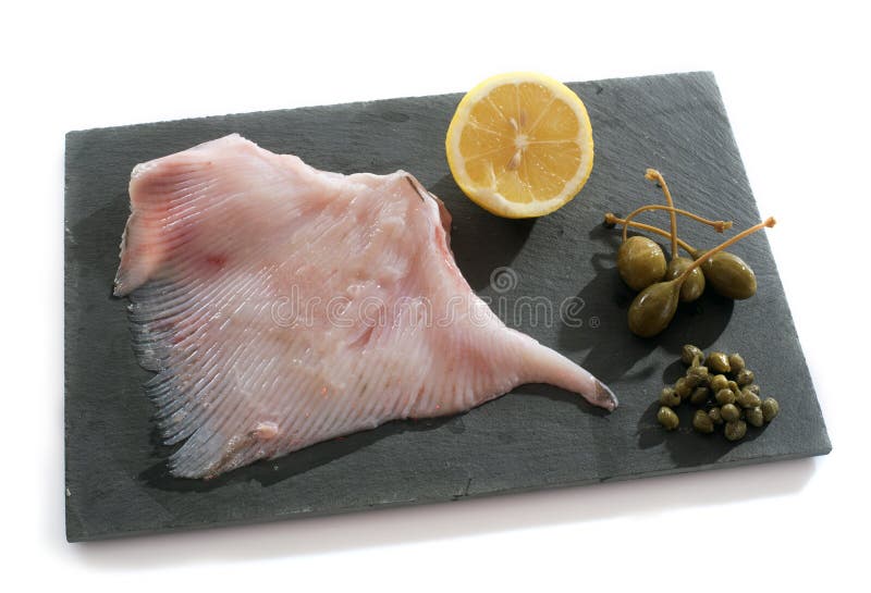 461 White Skate Fish Stock Photos - Free & Royalty-Free Stock Photos ...