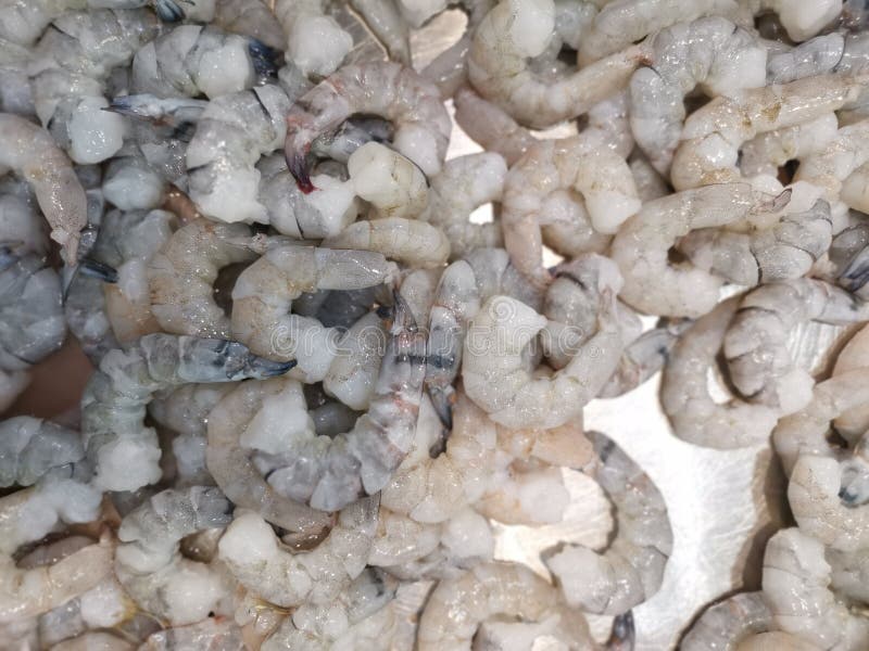Fresh Skinless Peeled Prawn on Sale. Stock Image - Image of animal ...