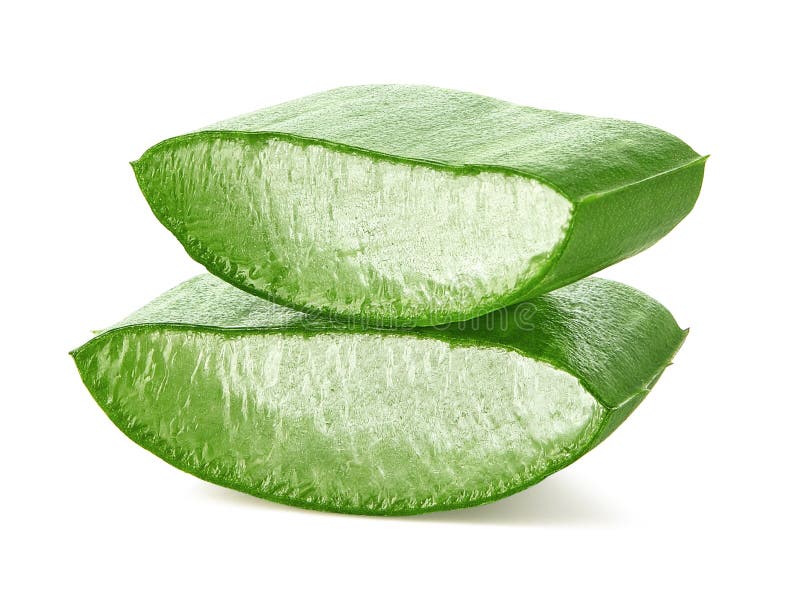 Single Aloe Vera Leaf Isolated on a White Background Stock Photo ...