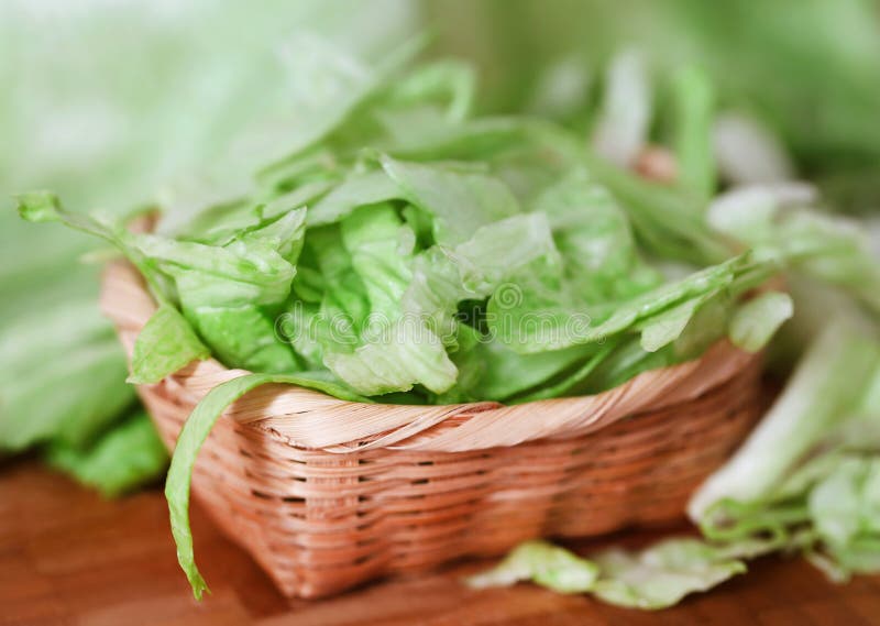 Fresh Sliced Iceberg Lettuce Stock Image - Image of food, gourmet ...