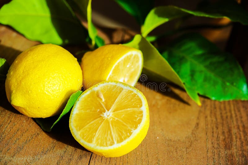 Fresh Sliced Lemon stock photo. Image of plant, garden - 49641684