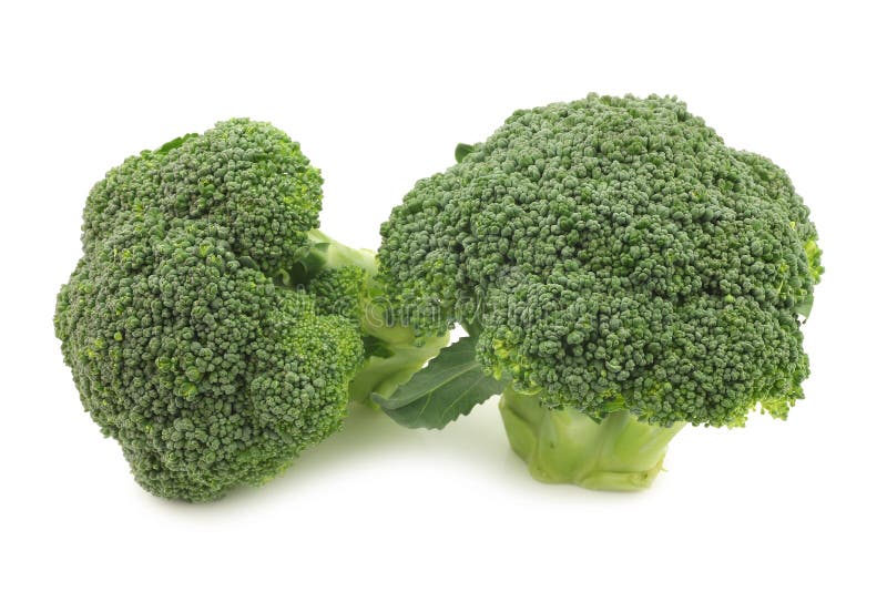 Small broccoli stock photo. Image of ingredient, salad - 21776306
