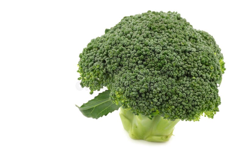 One Big and Few Small Broccoli Pieces Stock Image - Image of piece ...
