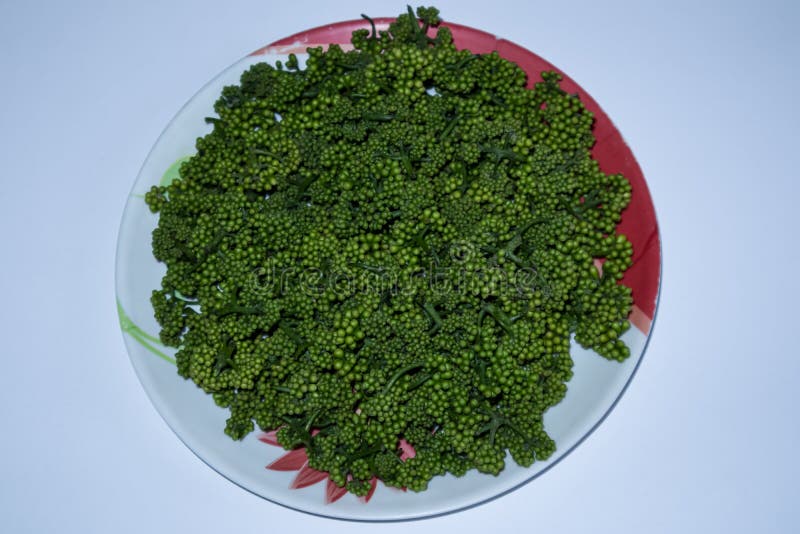 Brokali Stock Photos - Free & Royalty-Free Stock Photos from Dreamstime