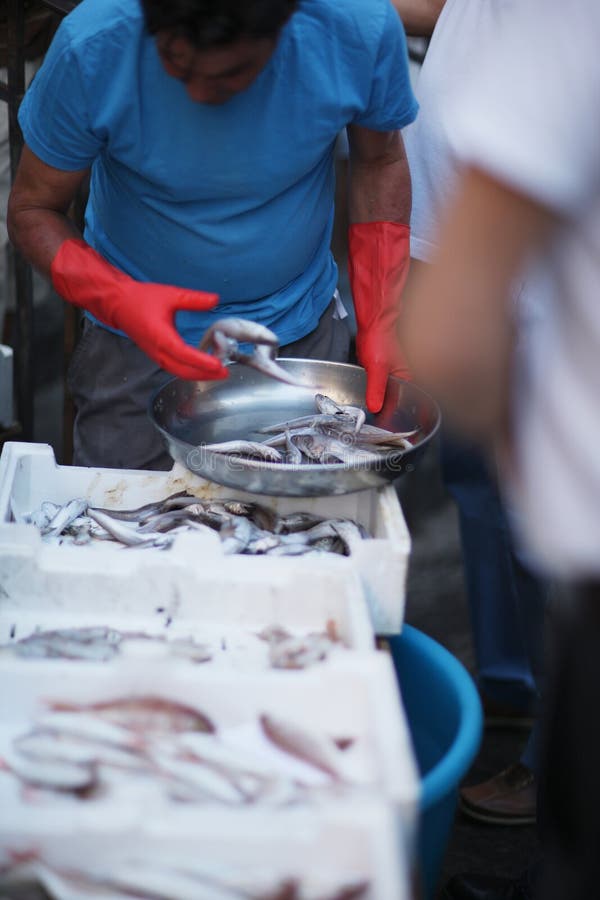 Fresh small fish editorial photography. Image of mediterranean - 96830022