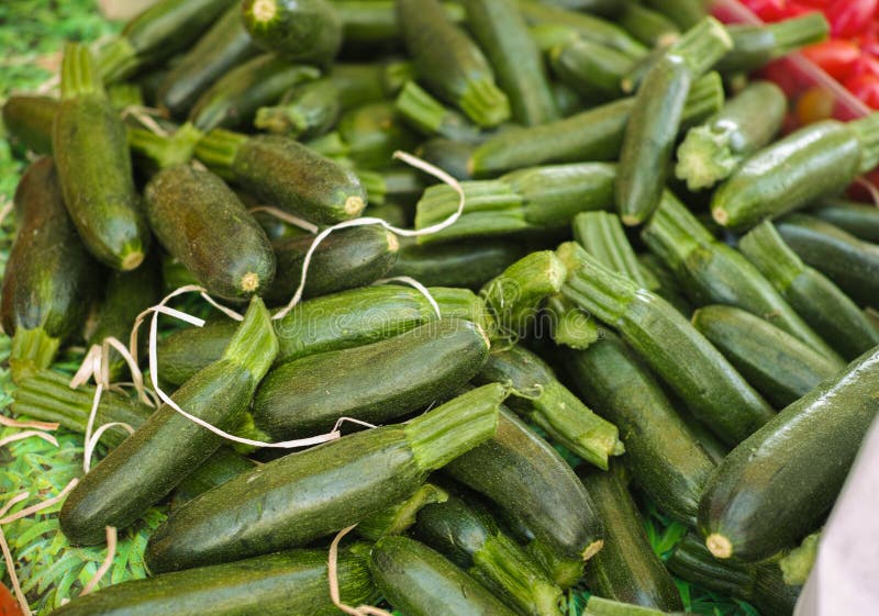 Fresh Small Green Mini Courgette Stock Image - Image of squash, small ...
