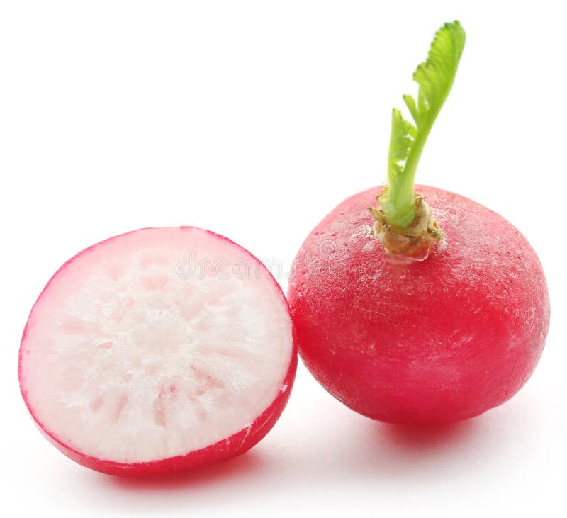 Fresh small radish stock photo. Image of healthy, isolated - 105868734