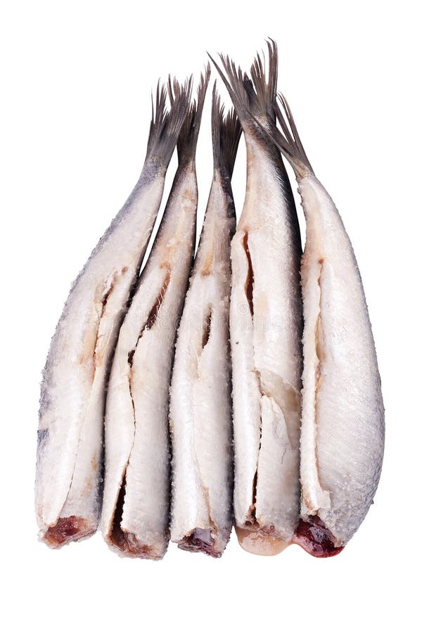 Scale of fish stock image. Image of full, tail, close - 13172411