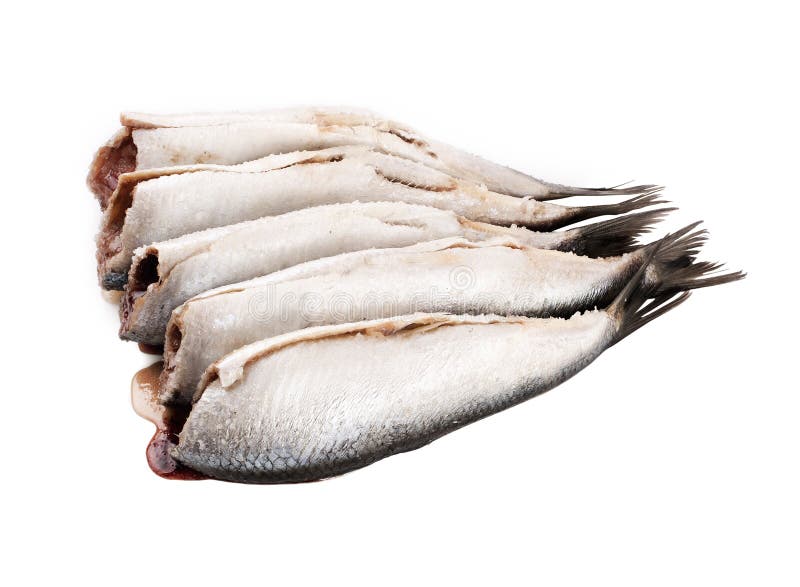 Scale of fish stock image. Image of full, tail, close - 13172411