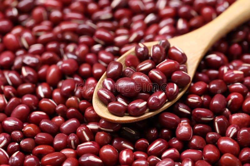 Fresh Small Seed of Red Beans in Wooden Spoon Stock Photo - Image of ...