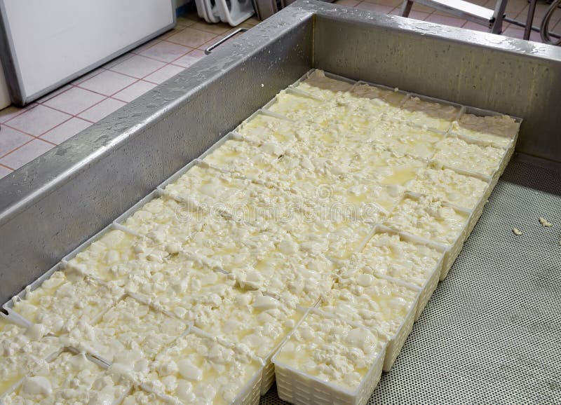 Fresh Small Soft Cheeses, Draining. Artisan Product. Stock Image ...