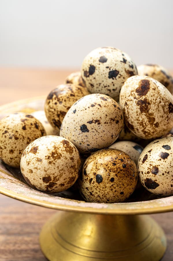 Partridge eggs stock image. Image of diet, food, plate - 11333489
