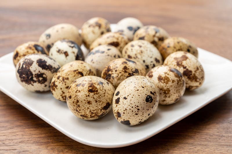Fresh Small Spotted Partridge Eggs on White Board Stock Photo - Image ...