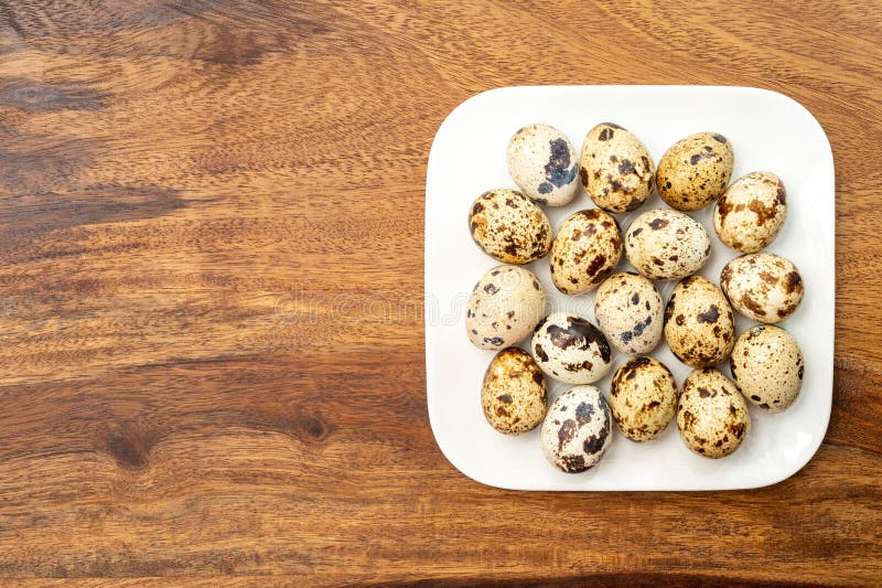Partridge eggs stock image. Image of diet, food, plate - 11333489