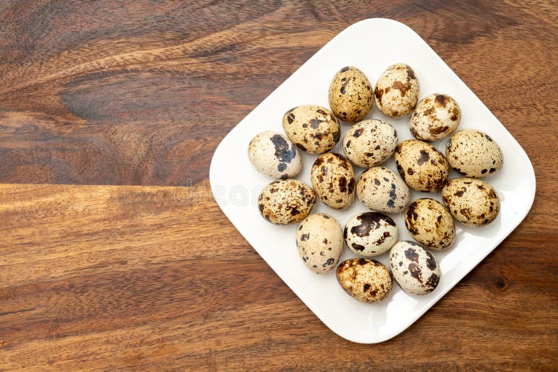 Fresh Small Spotted Partridge Eggs on White Board Stock Image - Image ...