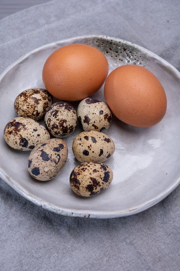 Fresh Small Spotted Partridge or Quail Bird and Brown Chicken Eggs ...