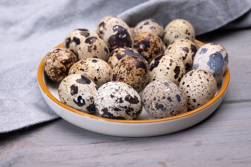 Fresh Small Spotted Partridge or Quail Bird Eggs Stock Image - Image of ...