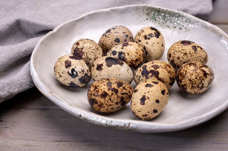 Fresh Small Spotted Partridge or Quail Bird Eggs Stock Photo - Image of ...