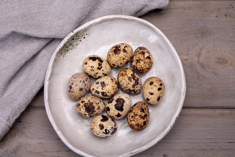 Fresh Small Spotted Partridge or Quail Bird Eggs Stock Image - Image of ...