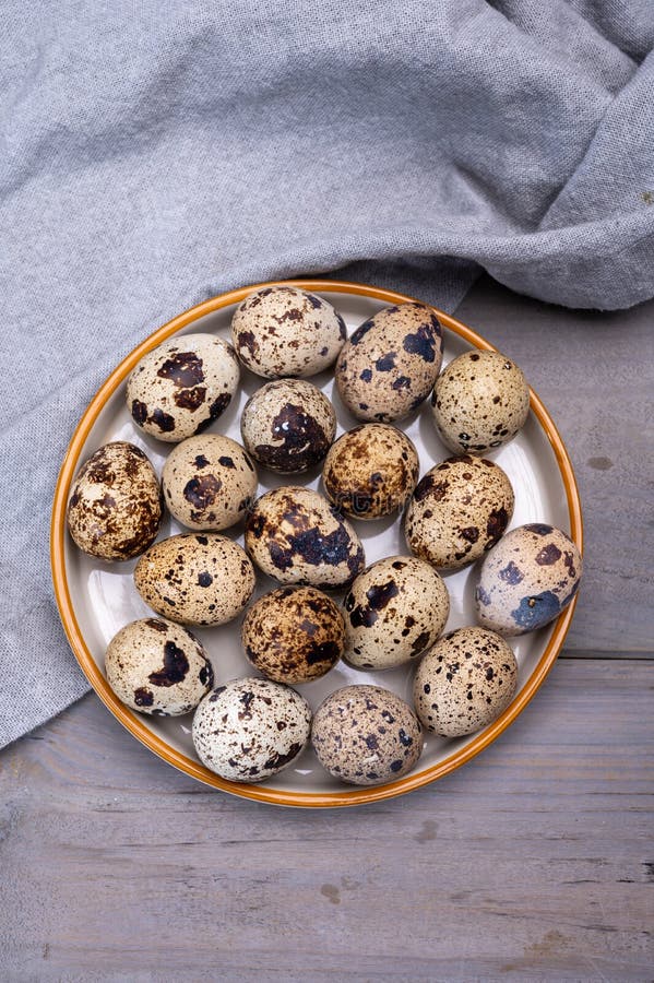 Fresh Small Spotted Partridge or Quail Bird Eggs Stock Photo - Image of ...