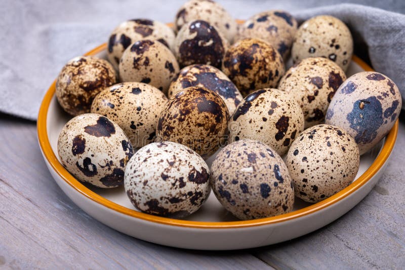 Fresh Small Spotted Partridge or Quail Bird Eggs Stock Image - Image of ...