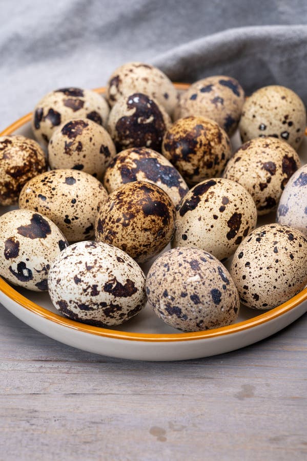 Fresh Small Spotted Partridge or Quail Bird Eggs Stock Image - Image of ...