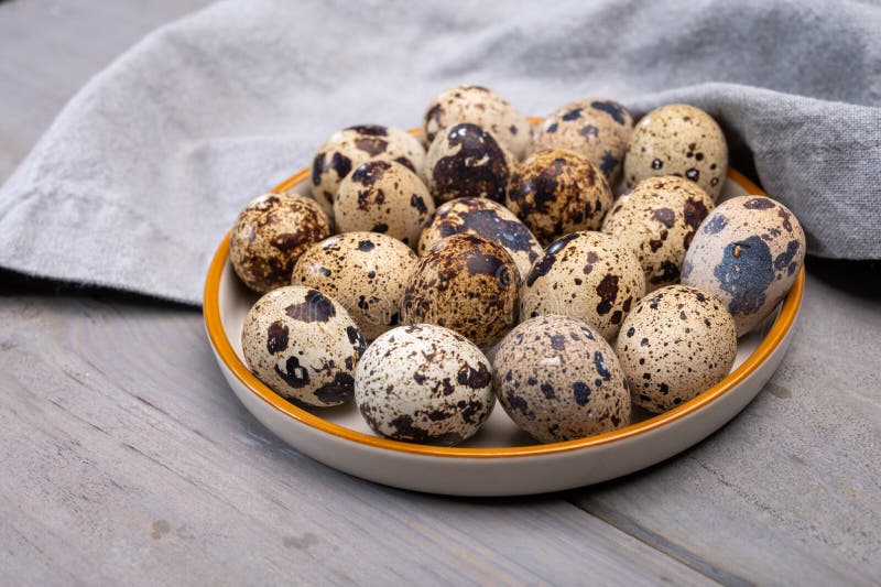 Fresh Small Spotted Partridge or Quail Bird Eggs Stock Image - Image of ...