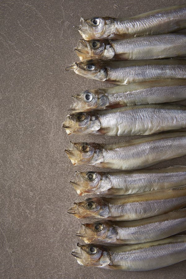 Fresh smelt on stone plate stock image. Image of small - 265262351