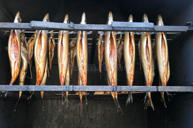 Fresh Smoked Fish in Oven. Smokehouse. Stock Image - Image of filet ...