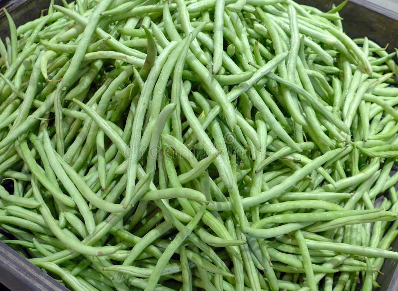 Fresh snap beans closeup stock photo. Image of plant - 62101138