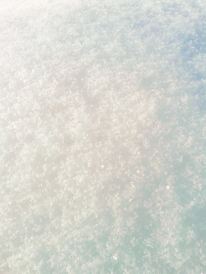 Fresh snow stock photo. Image of christmas, natural, weather - 37745692