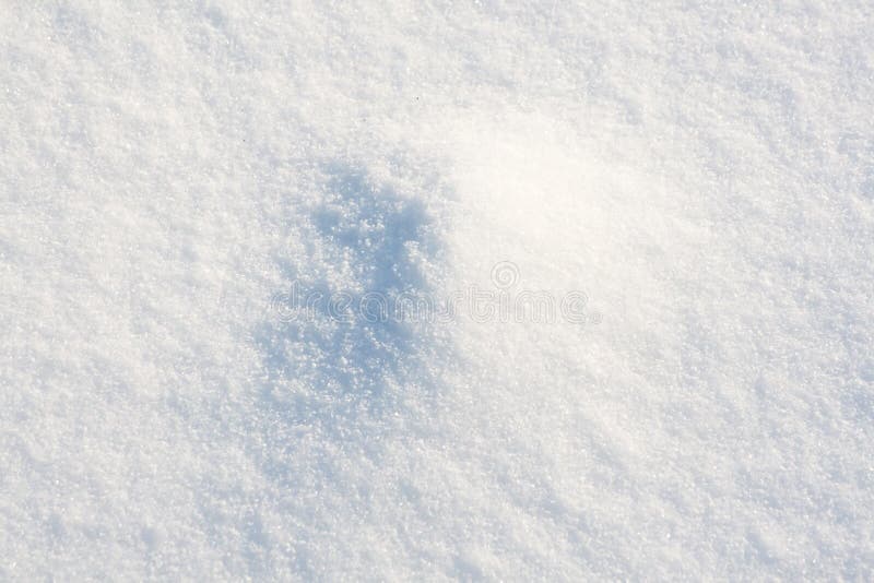 Fresh Snow Picture. Image: 4089365