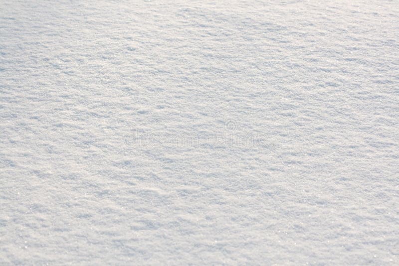 Fresh snow stock photo. Image of frozen, reference, bare - 14589308