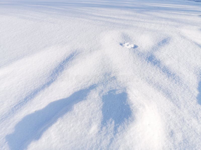 Fresh snow stock image. Image of flake, shadow, frozen - 213604453