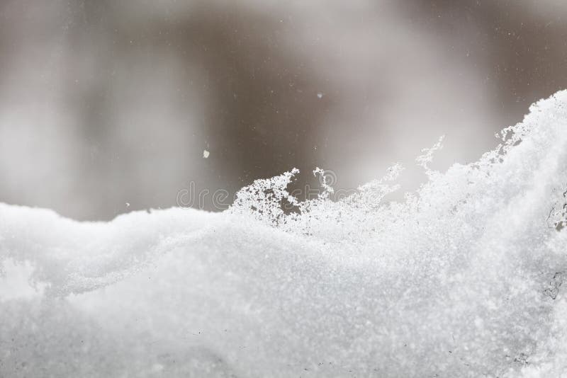Fresh Snow Background Close Up Stock Photo - Image of hoarfrost, winter ...