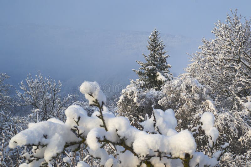 Fresh snow stock photo. Image of scene, freeze, january - 34876334