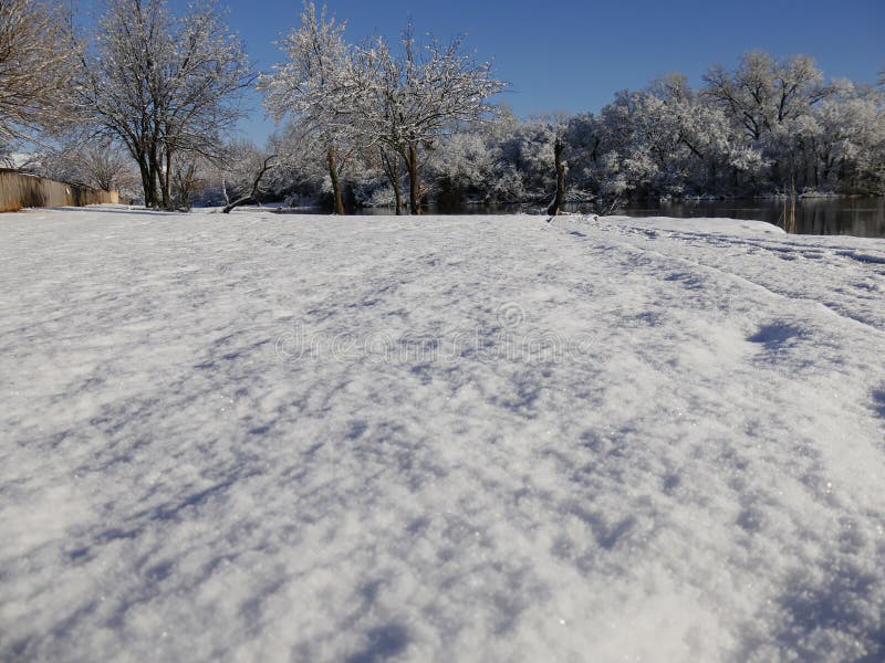Fresh Snow Covers the Ground by the Pond on a Winter Morning Stock ...