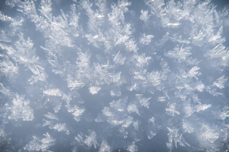 Fresh Snow Crystals in the Nature of Switzerland Stock Image - Image of ...